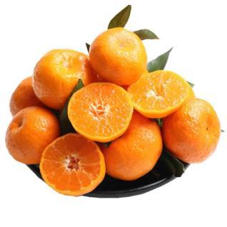 砂糖桔500g±50g-武商网,指定商品促销,砂糖桔500g±50g报价